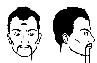 Moustache Trivia – The Write Stuff